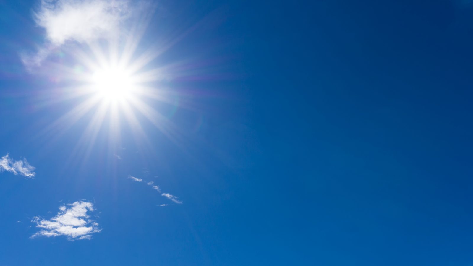 33 danske klima-iværksættere: “Sådan overlever vi hedebomberne ...