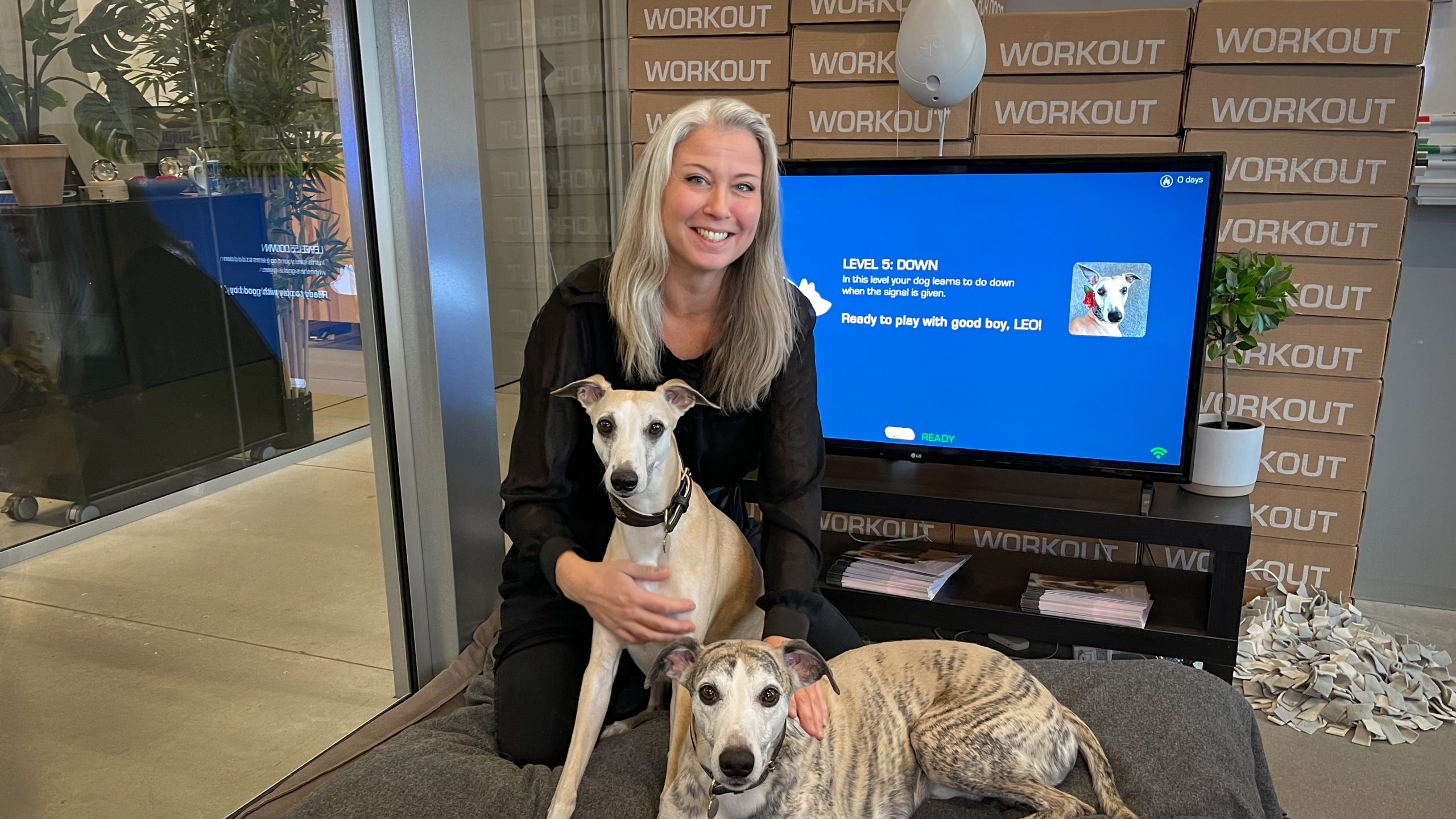 Ugens Startup: Go Dogo - Pet tech er det nye sort - Bootstrapping